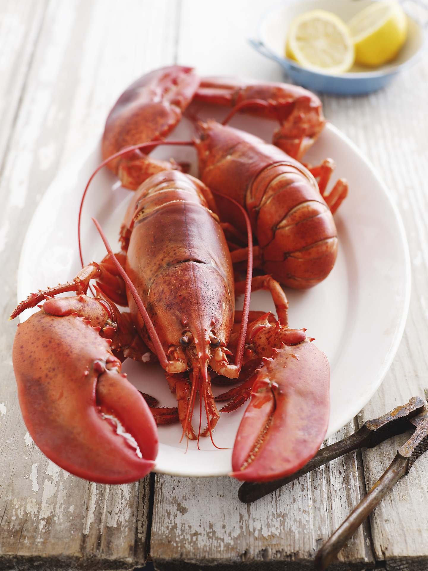 Lobster Boil Recipe • Rouses Supermarkets
