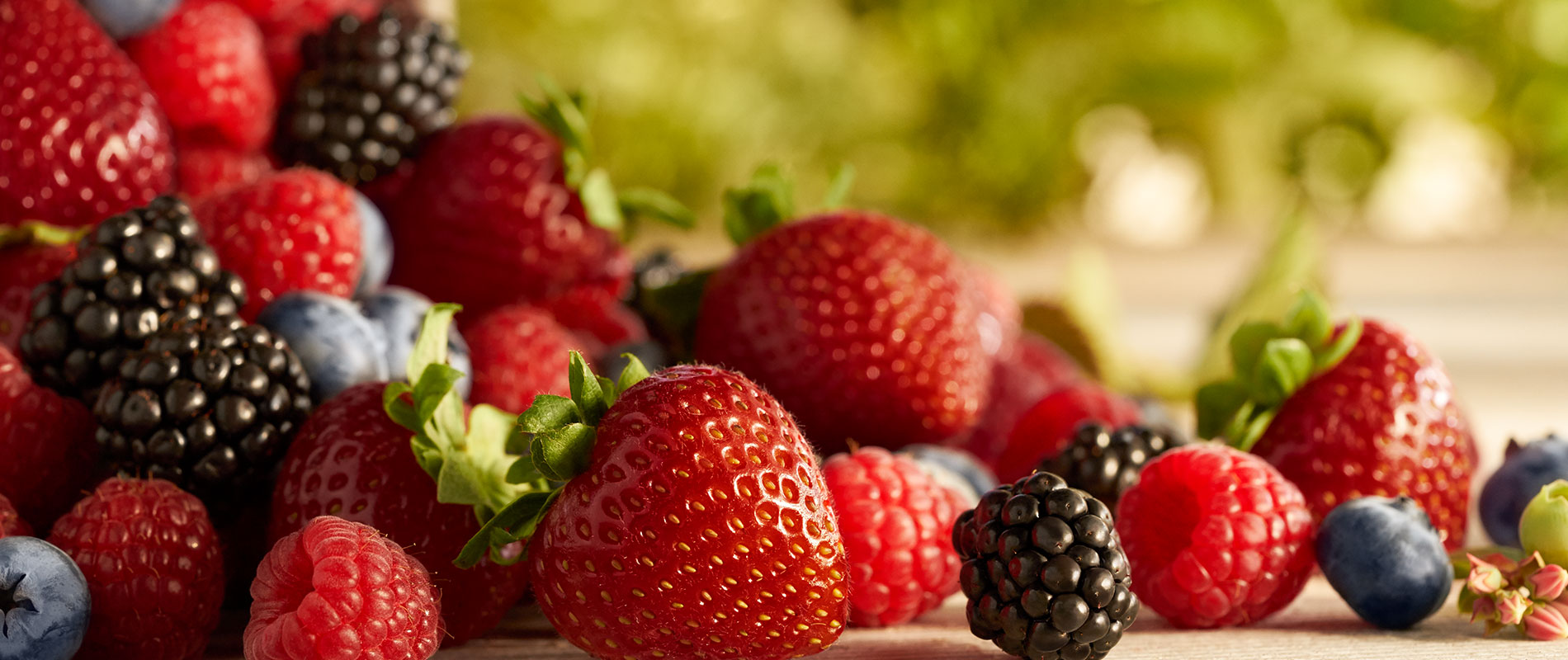 A Berry Rich History • Rouses Supermarkets